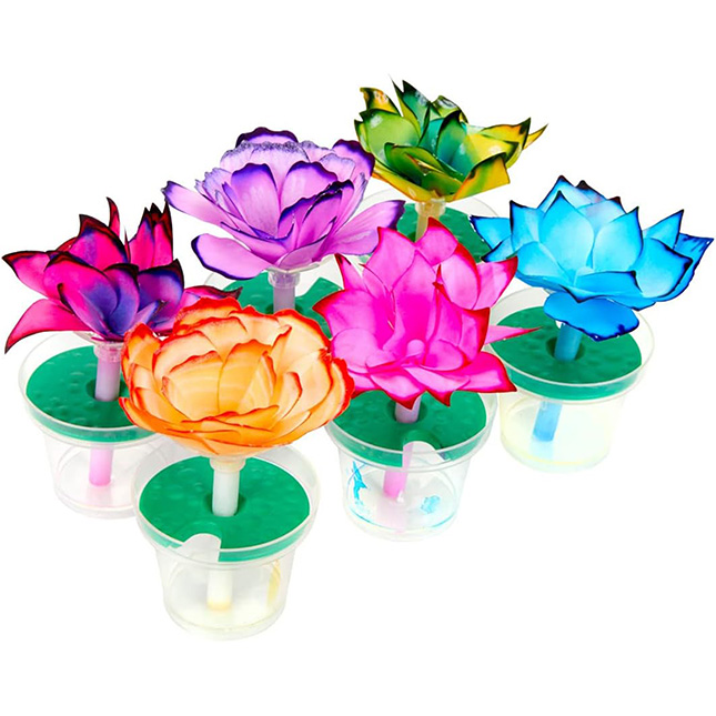 Crayola Paper Flower Science Kit - Best Arts & Crafts for Ages 7 to 10