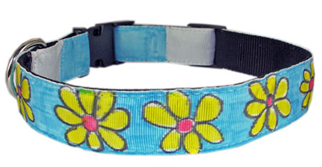 Design Your Own Dog Collar - - Fat Brain Toys