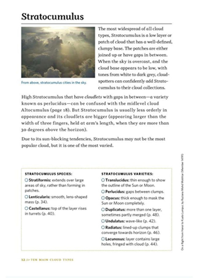 The Cloud Collectors Handbook - - Fat Brain Toys