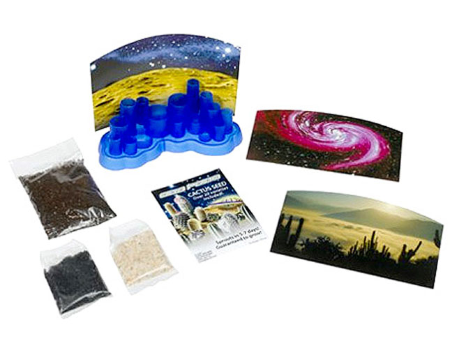 Odd Pods Cactus Garden - - Fat Brain Toys