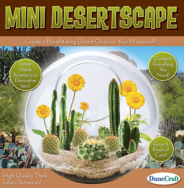 Mini Desertscape Glass Terrarium - - Fat Brain Toys