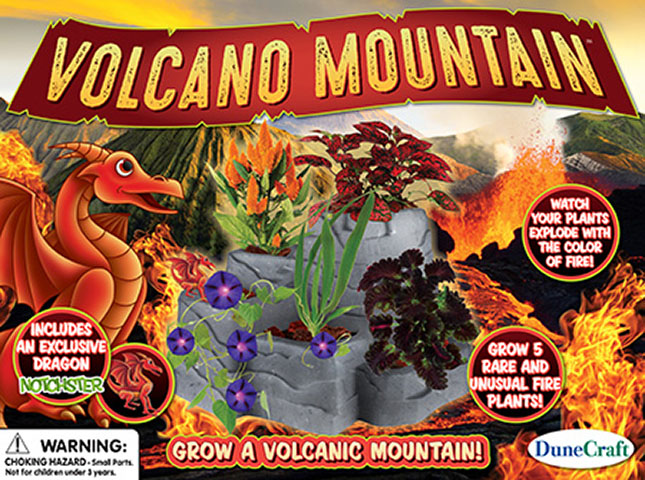 Volcano Mountain Terrarium - - Fat Brain Toys