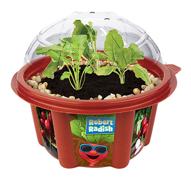 Robert Radish Cool Character Mini Dome - - Fat Brain Toys