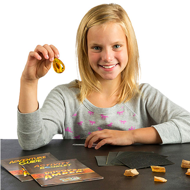 Discover Amber Science Kit - - Fat Brain Toys