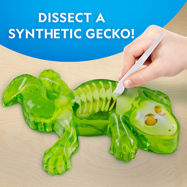 National Geographic Glow-in-the-Dark Gecko Dissection Lab