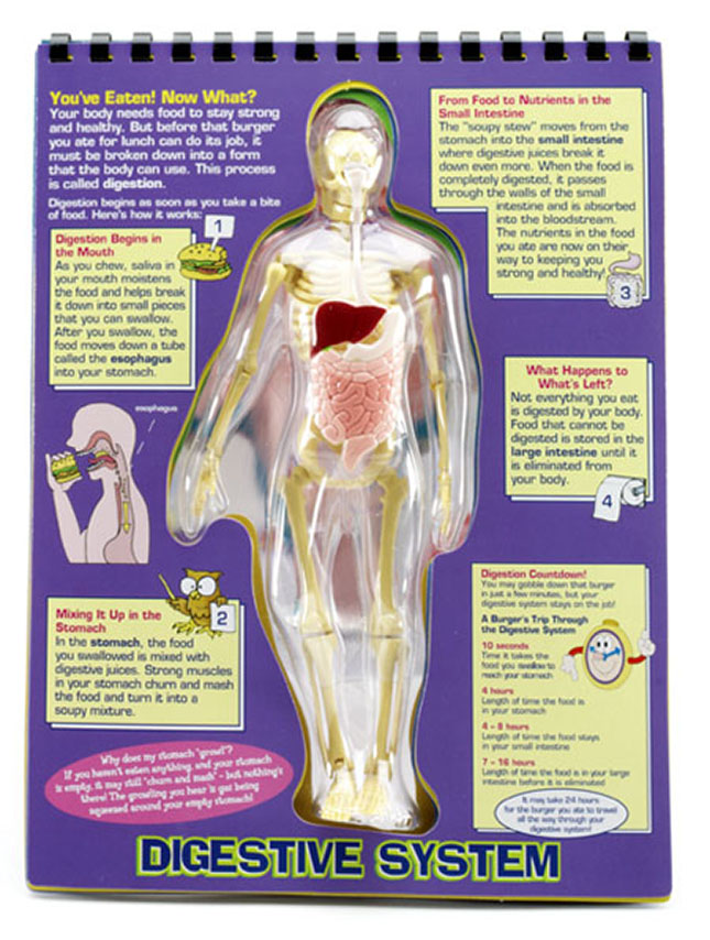 GeoSafari Human Body Undercover - - Fat Brain Toys