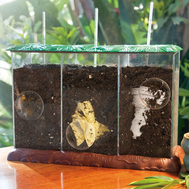 See-Through Compost Container - - Fat Brain Toys