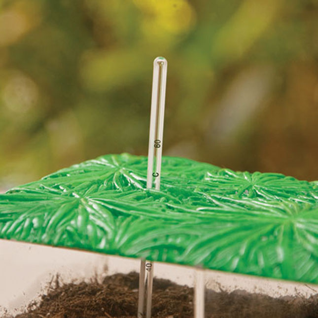 See-Through Compost Container - - Fat Brain Toys