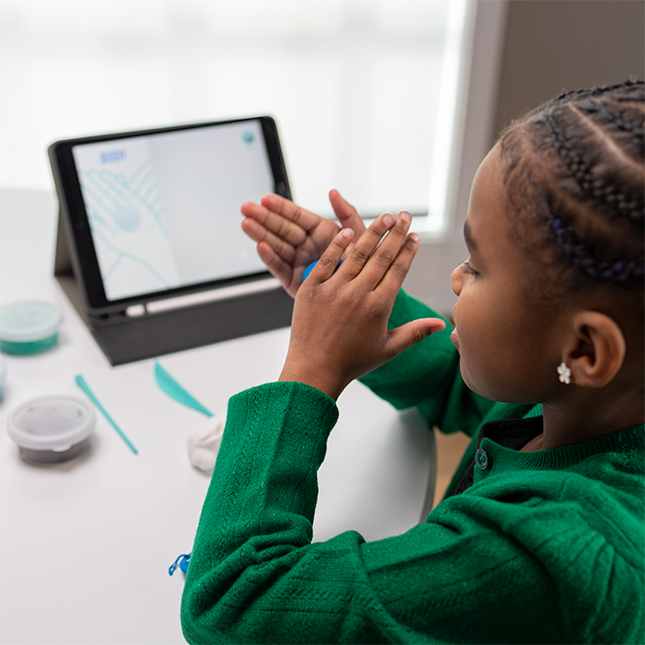 Hey Clay Ocean Creatures - Best Arts & Crafts for Ages 4 to 10