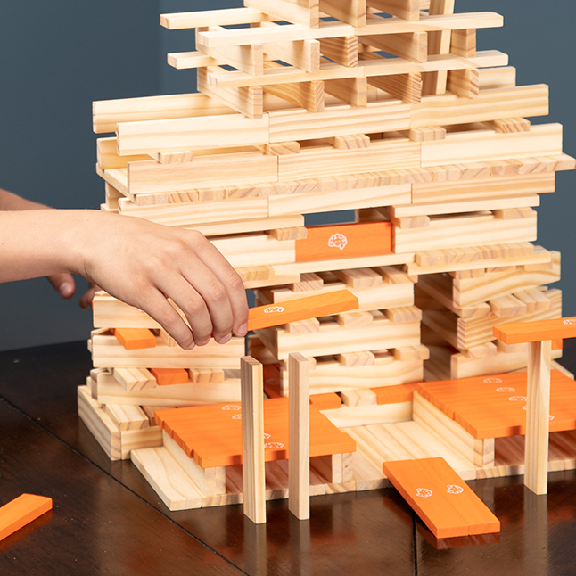 Timber Planks 300 Piece Set - Best for Ages 3 to 8