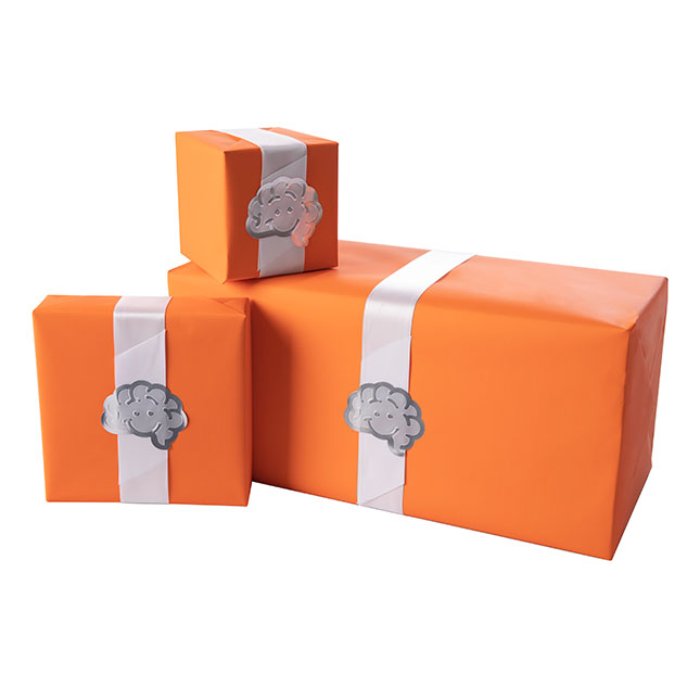 Deluxe Fat Brain Toys Birthday Wrap - Best Toys for Ages 3 to 12