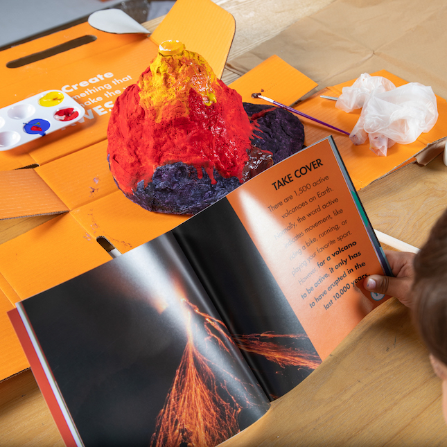 Surprise Ride - 12 Month Subscription + Free Build & Paint a Volcano ...