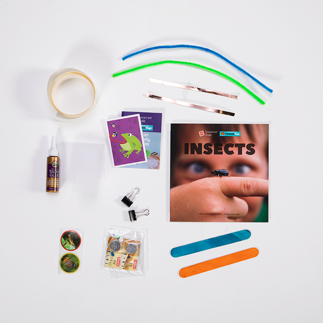Surprise Ride - Make an LED Firefly Flashlight Activity Kit