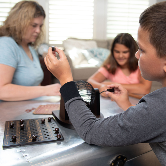 Deluxe Family Bingo - - Fat Brain Toys