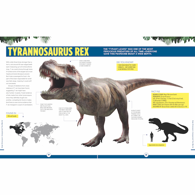 Dinosaurs: Myth Busting Guide to Prehistoric Beasts