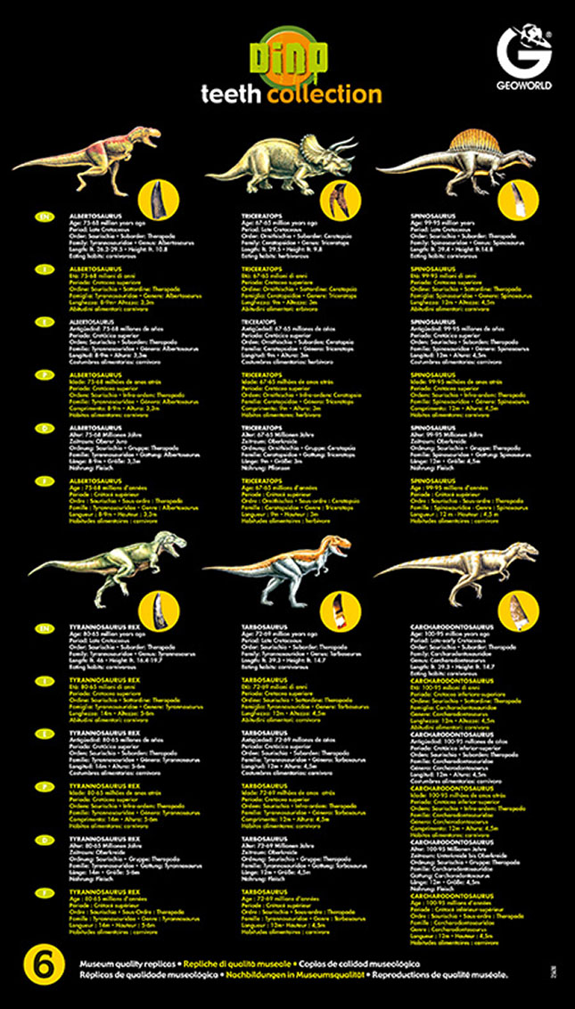 Dinosaur Teeth Collection - - Fat Brain Toys