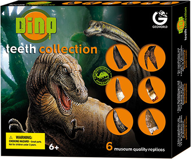 Dinosaur Teeth Collection - - Fat Brain Toys