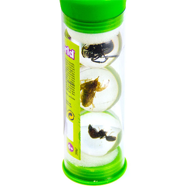 Bug's World - - Fat Brain Toys