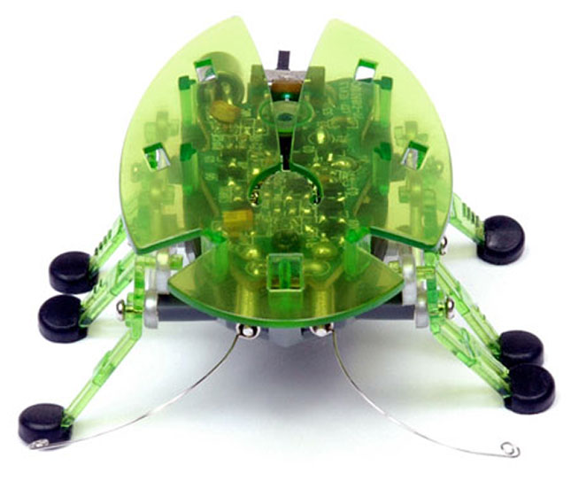 Hexbug Robotic Bug - - Fat Brain Toys