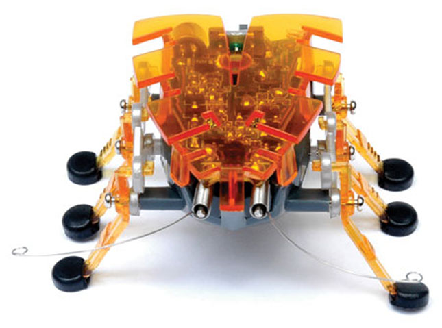 Hexbug Robotic Bug - - Fat Brain Toys