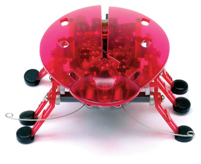Hexbug Robotic Bug - - Fat Brain Toys