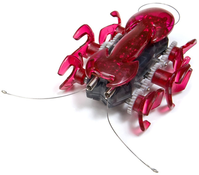 Hexbug Robotic Ant - - Fat Brain Toys