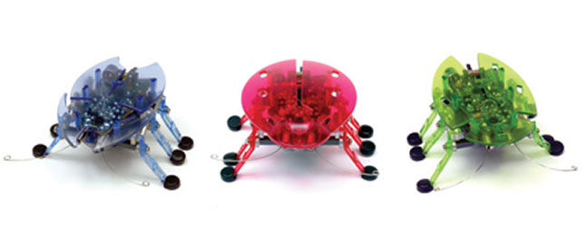 Hexbug Robotic Beetle - - Fat Brain Toys