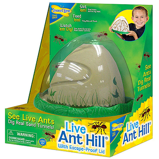 Ant Hill - - Fat Brain Toys