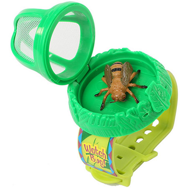Watch-A-Bug - - Fat Brain Toys