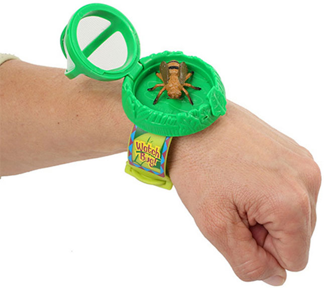 Watch-A-Bug - - Fat Brain Toys