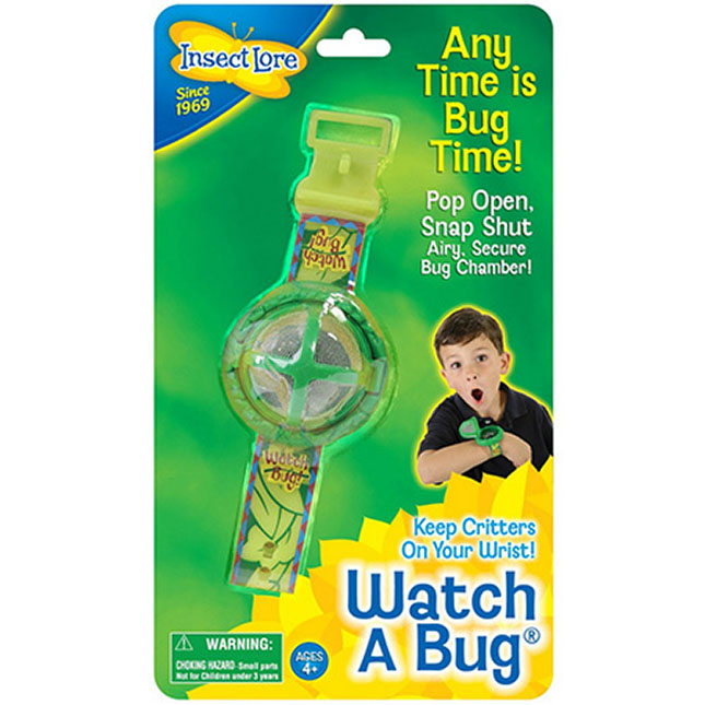 Watch-A-Bug - - Fat Brain Toys