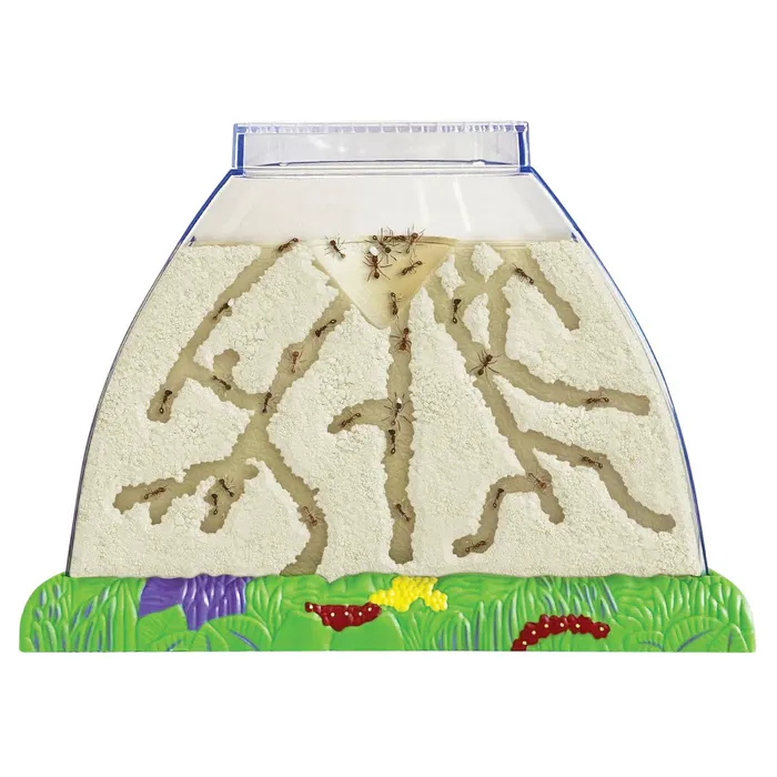 Ant Hill - Ant Tunneling Kit - - Fat Brain Toys