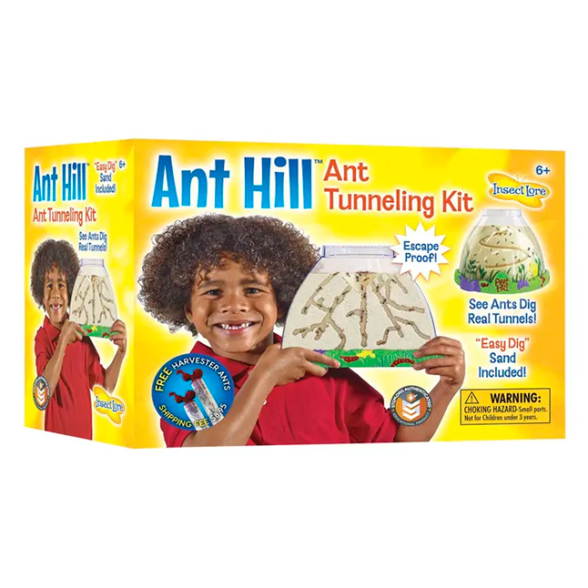 Ant Hill - Ant Tunneling Kit - - Fat Brain Toys
