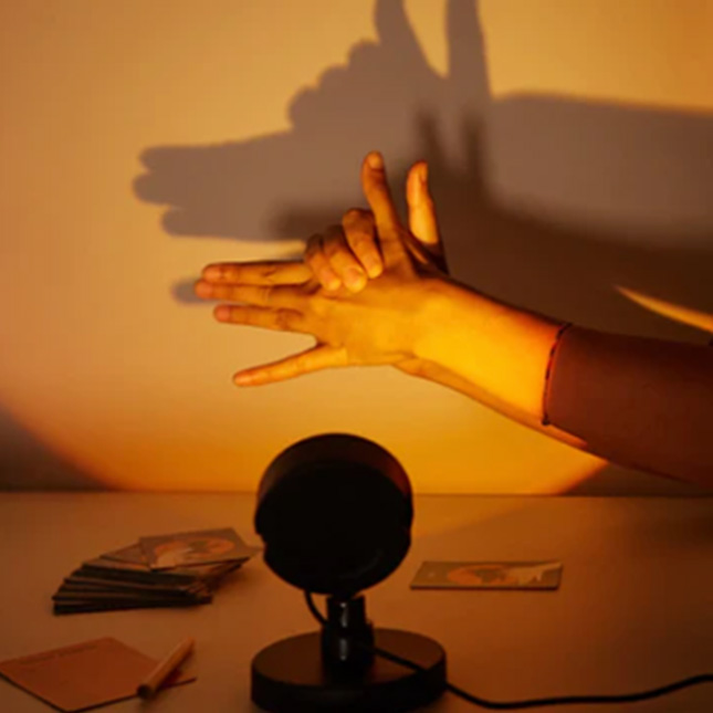 Shadow Game - - Fat Brain Toys
