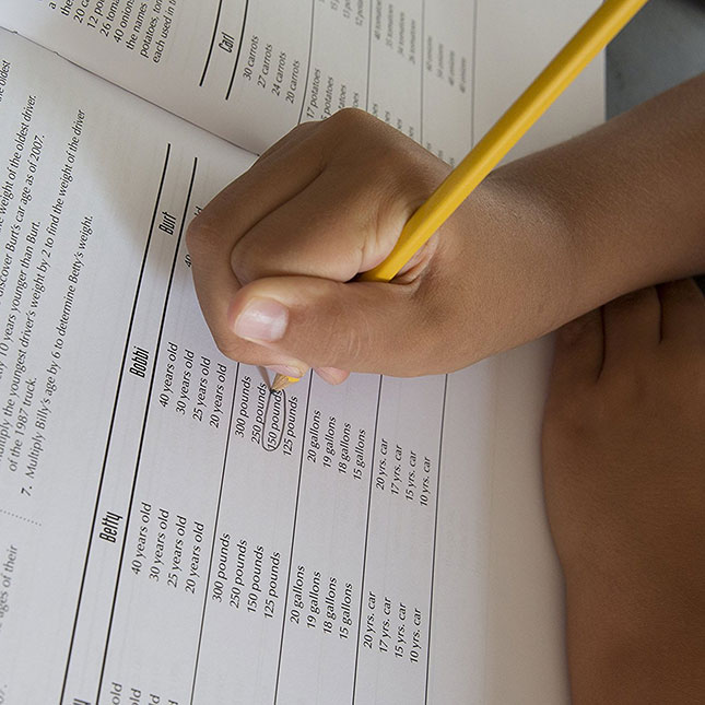 STEM Perplexors Level D - - Fat Brain Toys