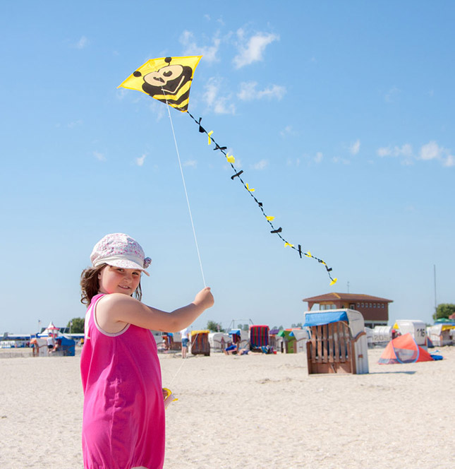 Eco Line Eddy Bumble Bee Kite - 20 inch - - Fat Brain Toys