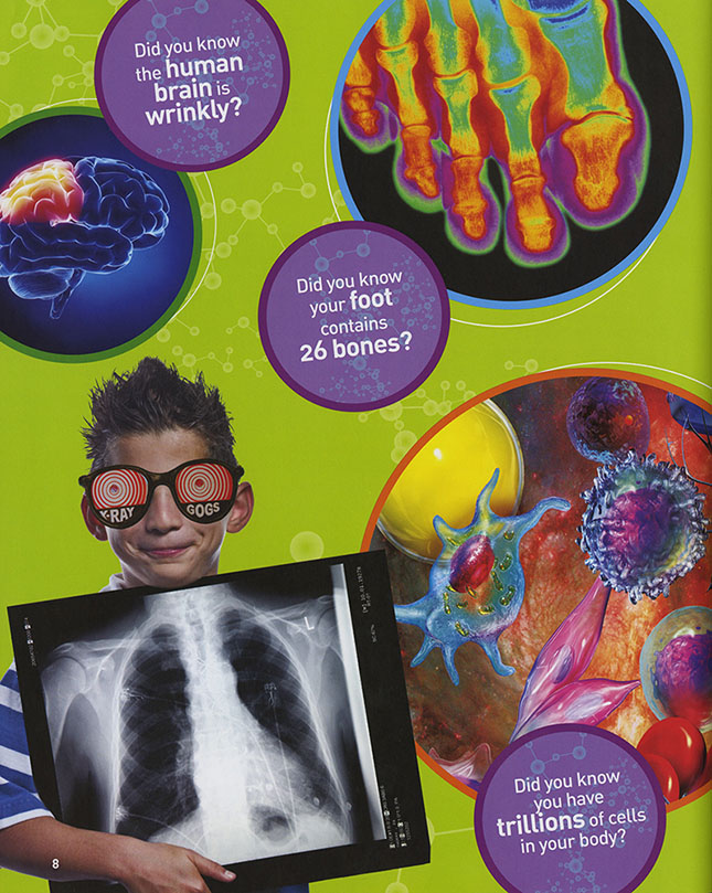 National Geographic Kids Ultimate Body-Pedia - - Fat Brain Toys