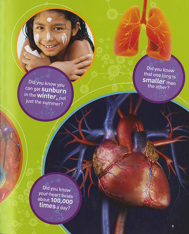 National Geographic Kids Ultimate Body-Pedia - - Fat Brain Toys