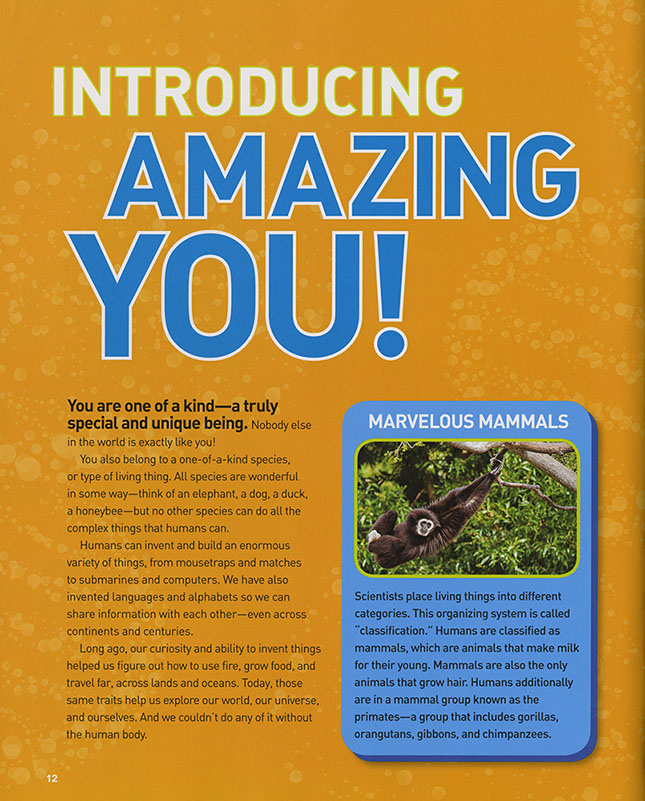 National Geographic Kids Ultimate Body-Pedia - - Fat Brain Toys