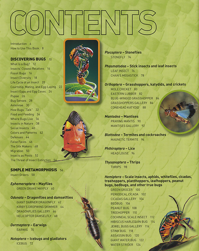 National Geographic Kids Ultimate Bug-Opedia - - Fat Brain Toys