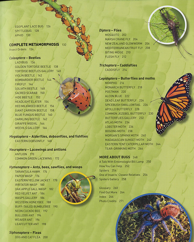 National Geographic Kids Ultimate Bug-Opedia - - Fat Brain Toys