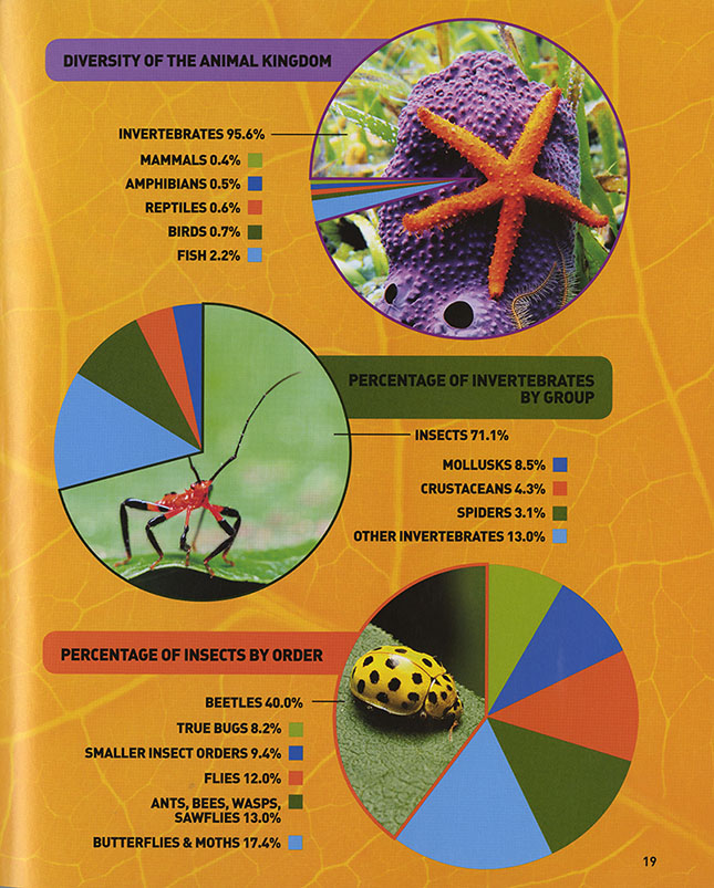 National Geographic Kids Ultimate Bug-Opedia - - Fat Brain Toys