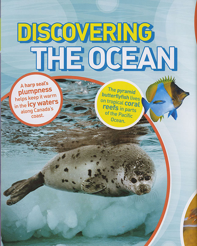 National Geographic Kids Ultimate Ocean-pedia - - Fat Brain Toys