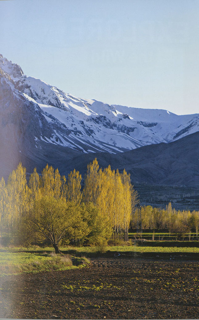 National Geographic Kids Ultimate Explorer Guide - - Fat Brain Toys