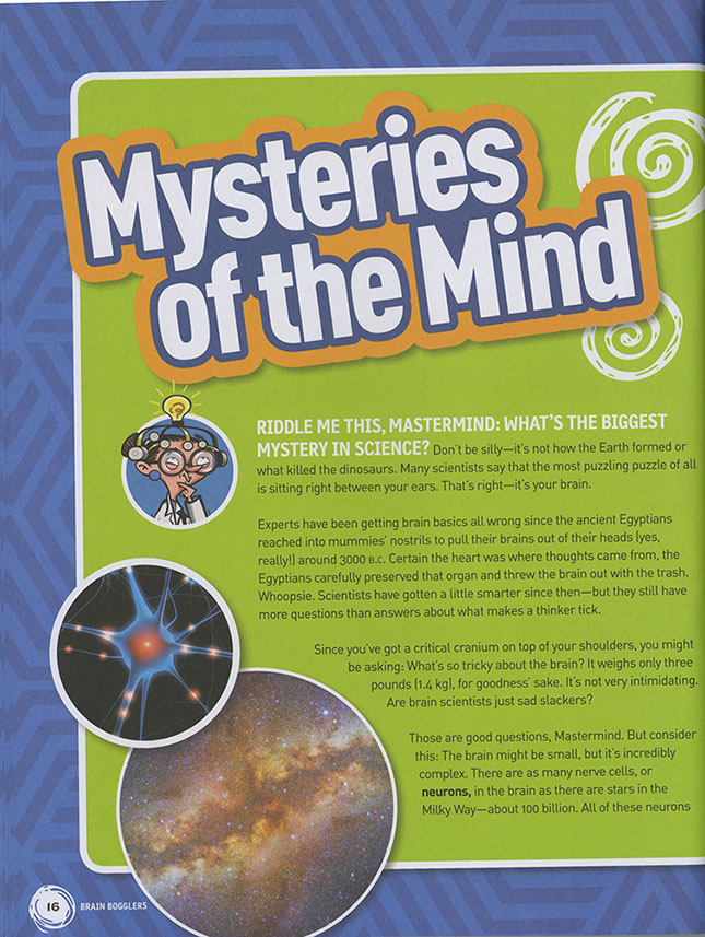 National Geographic Kids Brain Bogglers - - Fat Brain Toys