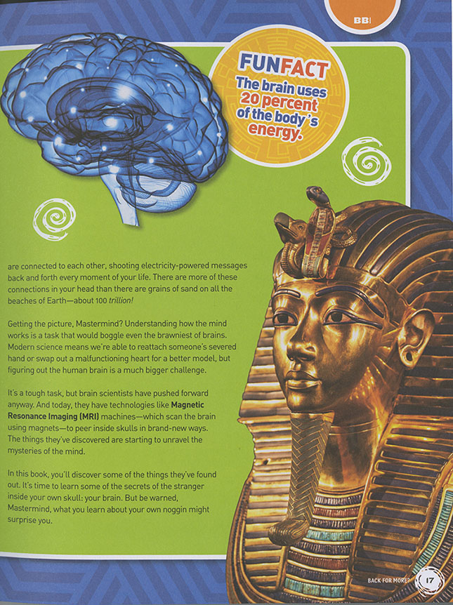 National Geographic Kids Brain Bogglers - - Fat Brain Toys National Geographic Kids Brain Bogglers - - Fat Brain Toys