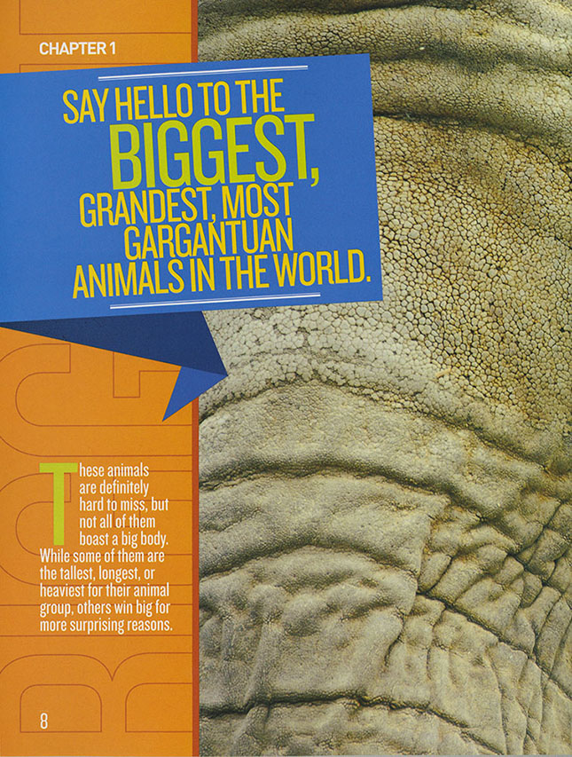 National Geographic Kids Animal Records - - Fat Brain Toys