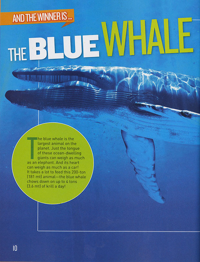 National Geographic Kids Animal Records - - Fat Brain Toys