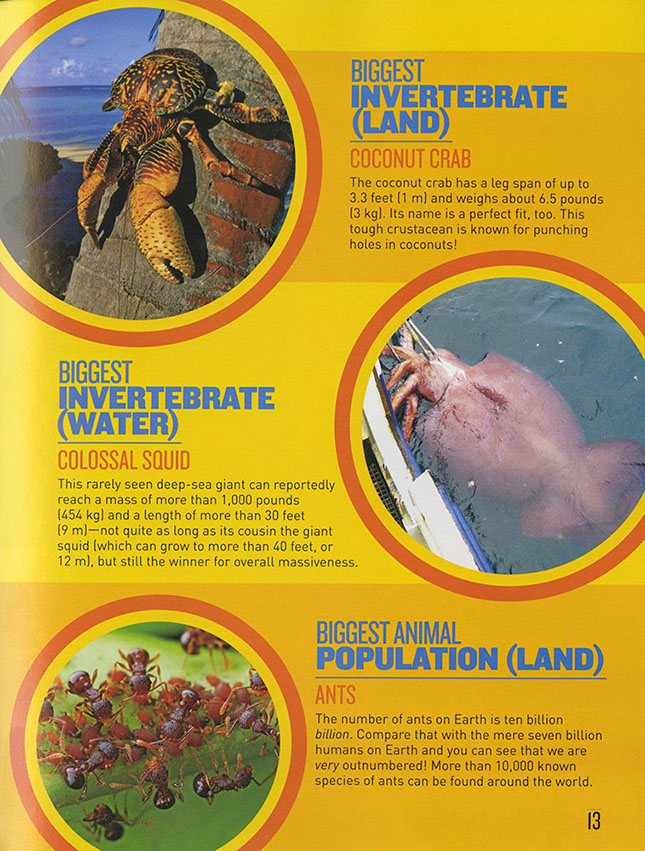 National Geographic Kids Animal Records - - Fat Brain Toys