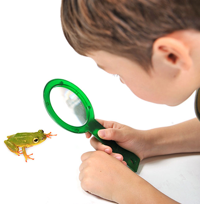 Backyard Safari Magnifying Glass - - Fat Brain Toys